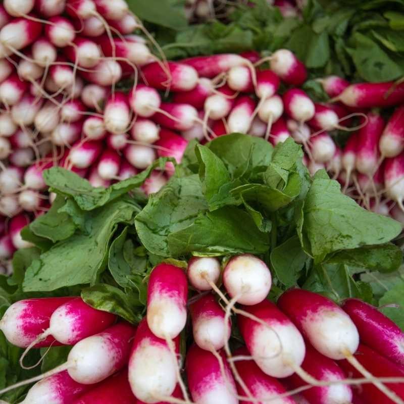 Produits de notre Ferme